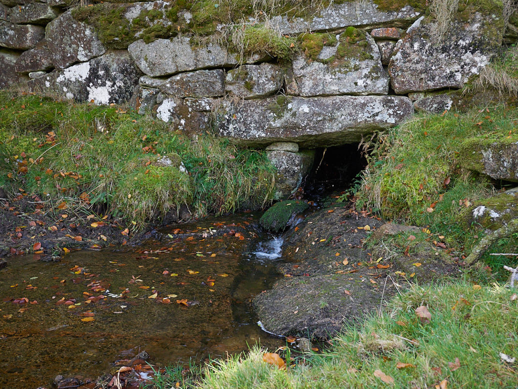A moment by a Dartmoor Stream – Richard Mudhar